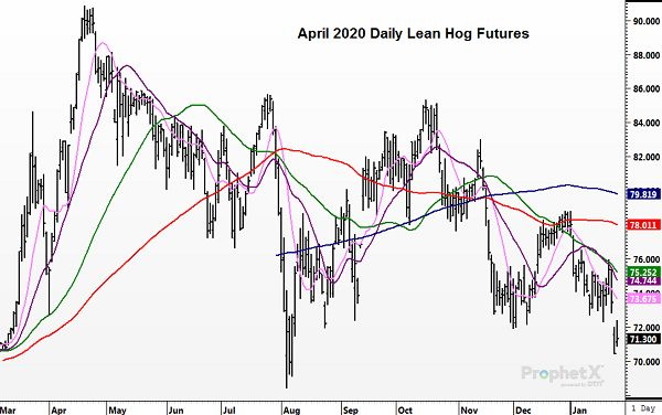 Today In Lean Hogs 1-28-20 - Total Farm Marketing by Stewart-Peterson
