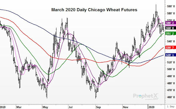 Today In Wheat 2-7-2020 - Total Farm Marketing by Stewart-Peterson