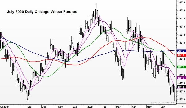 Today in Wheat 6-29-2020 - Total Farm Marketing by Stewart-Peterson