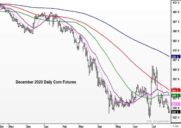 Today In Corn 7-30-20 - Total Farm Marketing by Stewart-Peterson