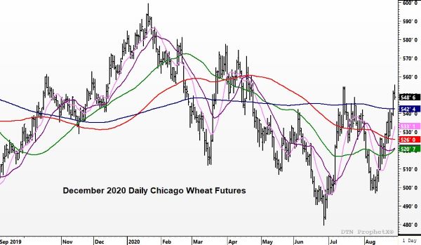 Today In Wheat 8-28-2020 - Total Farm Marketing by Stewart-Peterson