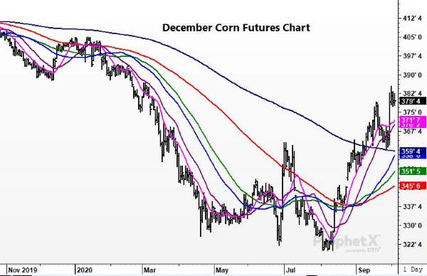 Today In Corn 10-5-2020 - Total Farm Marketing by Stewart-Peterson
