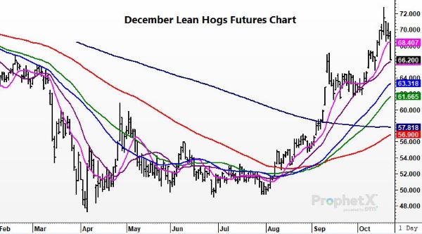 Today in Lean Hogs 10-22-20 - Total Farm Marketing by Stewart-Peterson