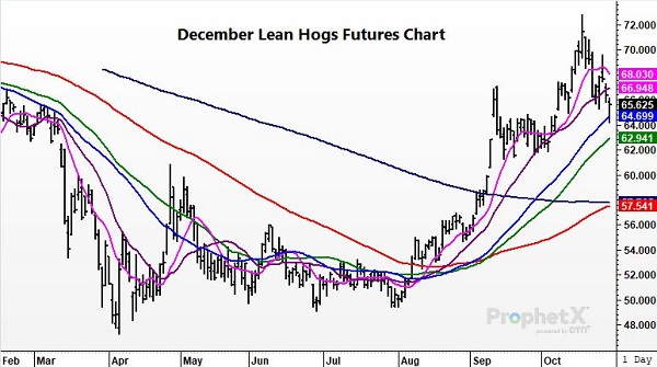 Today in Lean Hogs 10-29-20 - Total Farm Marketing by Stewart-Peterson