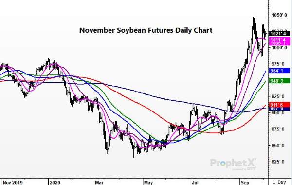 Today In Soybeans 10-5-2020 - Total Farm Marketing by Stewart-Peterson