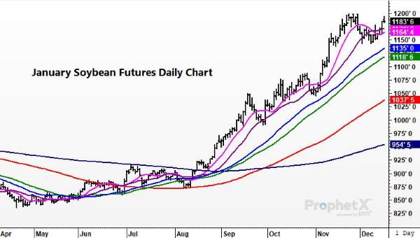 Today In Soybeans 12-16-2020 - Total Farm Marketing by Stewart-Peterson