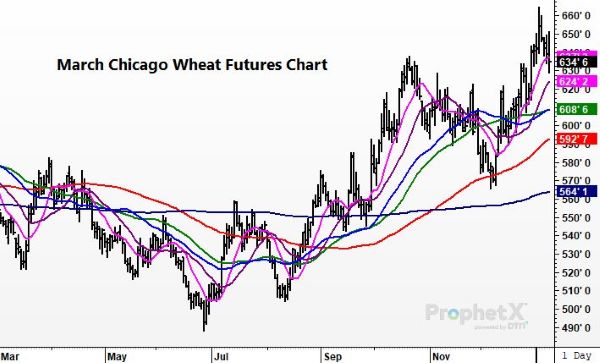 Today In Wheat 1-11-2021 - Total Farm Marketing by Stewart-Peterson