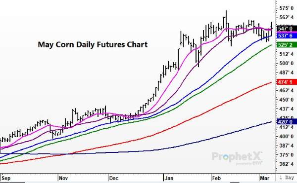 Today In Corn 03-08-2021 - Total Farm Marketing by Stewart-Peterson