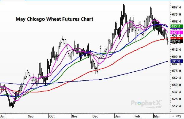 Today In Wheat 3-19-2021 - Total Farm Marketing by Stewart-Peterson