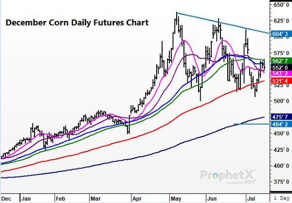 Today In Corn 07-16-2021 - Total Farm Marketing by Stewart-Peterson