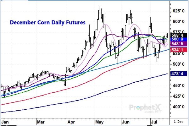 Today In Corn 7-21-2021 - Total Farm Marketing by Stewart-Peterson