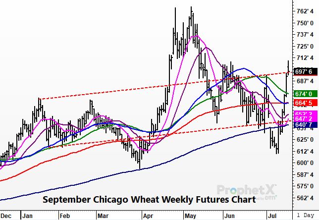 Today in Wheat 7-19-2021 - Total Farm Marketing by Stewart-Peterson