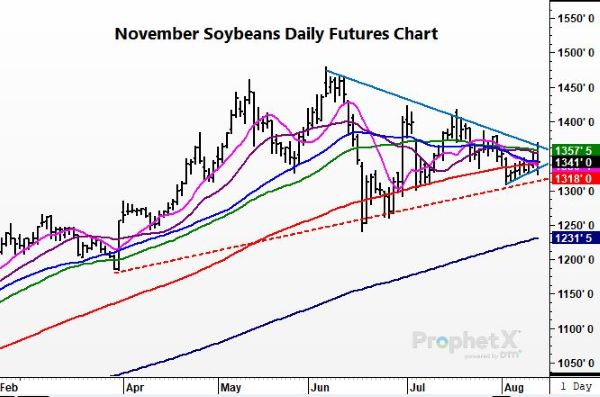 Today in Soybeans 8-12-2021 - Total Farm Marketing by Stewart-Peterson