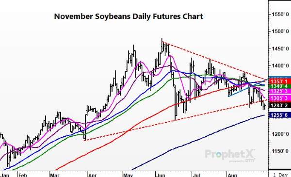 Today In Soybeans 09-02-2021 - Total Farm Marketing by Stewart-Peterson