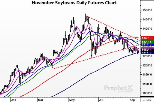 Today in Soybeans 9-22-2021 - Total Farm Marketing by Stewart-Peterson