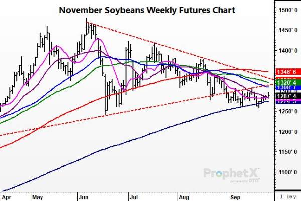 Today in Soybeans 09-27-2021 - Total Farm Marketing by Stewart-Peterson