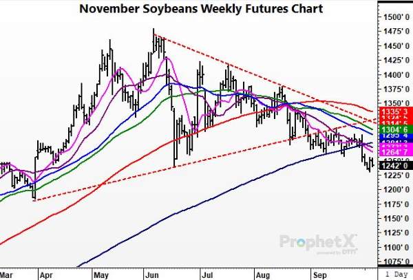 Today in Soybeans 10-06-2021 - Total Farm Marketing by Stewart-Peterson