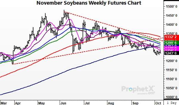 Today in Soybeans 10-08-2021 - Total Farm Marketing by Stewart-Peterson