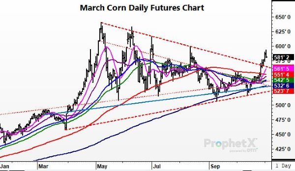 Today in Corn 11-2-2021 - Total Farm Marketing by Stewart-Peterson
