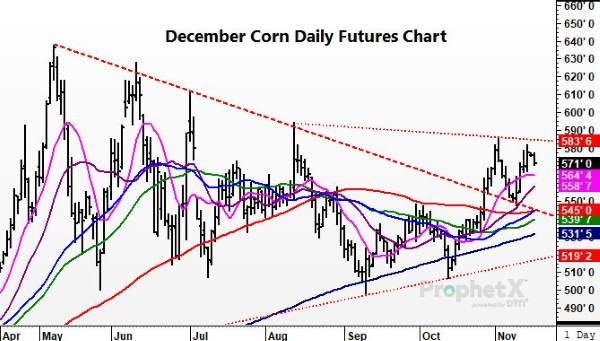 Today in Corn 11-16-2021 - Total Farm Marketing by Stewart-Peterson