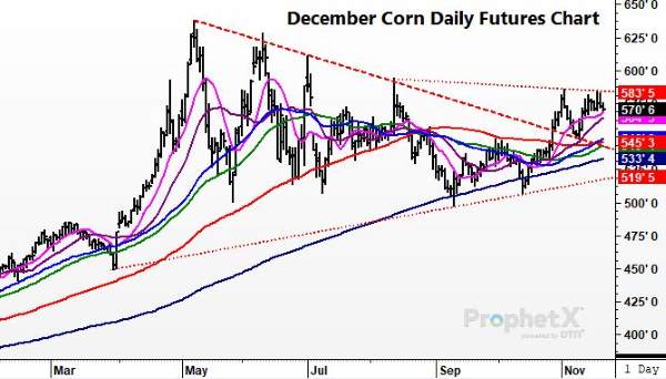 Today in Corn 11-19-2021 - Total Farm Marketing by Stewart-Peterson