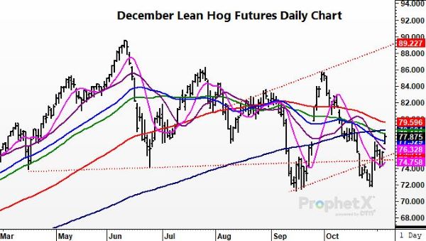 Today in Lean Hogs 11-4-2021 - Total Farm Marketing by Stewart-Peterson