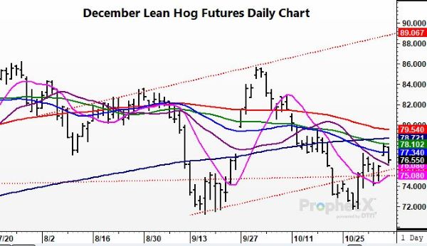 Today in Lean Hogs 11-5-2021 - Total Farm Marketing by Stewart-Peterson