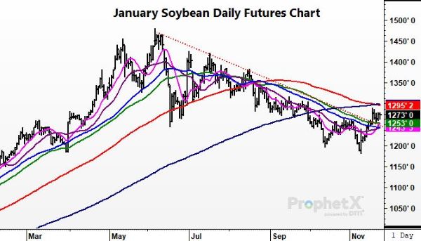 Today Soybeans 11-23-2021 - Total Farm Marketing by Stewart-Peterson