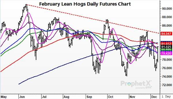 Today in Lean Hogs 12-10-2021 - Total Farm Marketing by Stewart-Peterson