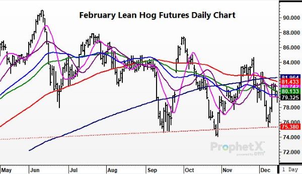 Today in Lean Hogs 12-16-2021 - Total Farm Marketing by Stewart-Peterson