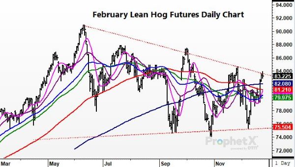 Today in Lean Hogs 12-23-2021 - Total Farm Marketing by Stewart-Peterson
