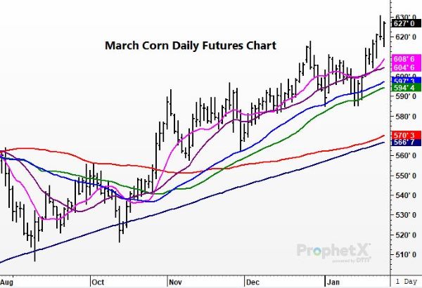 Today in Corn 1-26-2022 - Total Farm Marketing by Stewart-Peterson