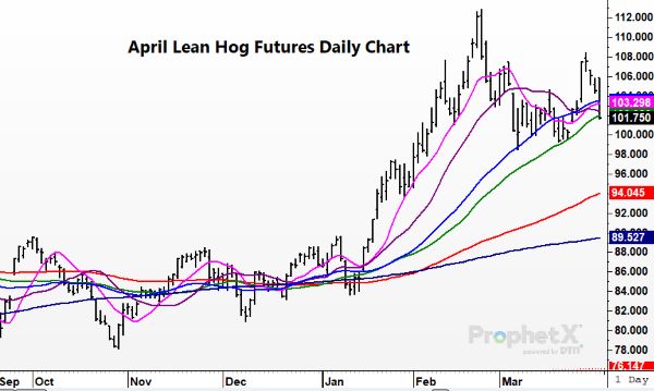 Today in Lean Hogs 3-31-2022 - Total Farm Marketing by Stewart-Peterson