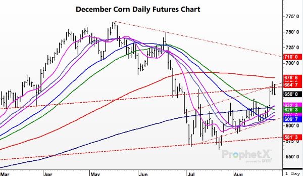 Today in Corn 8-25-2022 - Total Farm Marketing by Stewart-Peterson