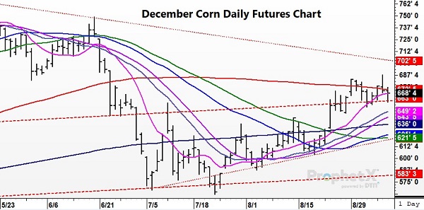 Today in Corn 09-08-2022 - Total Farm Marketing by Stewart-Peterson