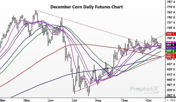 Today in Corn 10-20-2022 - Total Farm Marketing by Stewart-Peterson
