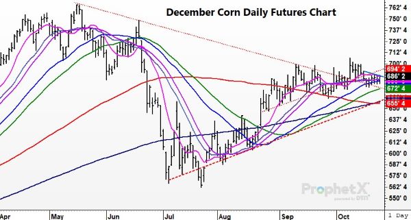 Today in Corn 10-25-2022 - Total Farm Marketing by Stewart-Peterson