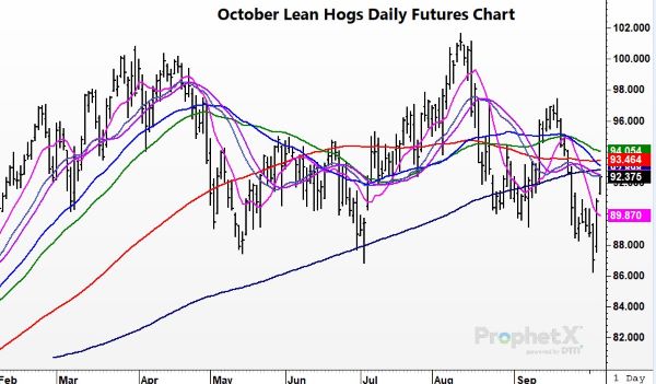 Today in Lean Hogs 10-6-2022 - Total Farm Marketing by Stewart-Peterson