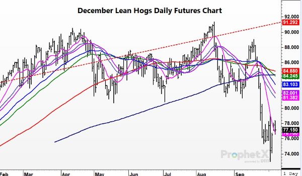 Today in Lean Hogs 10-7-2022 - Total Farm Marketing by Stewart-Peterson