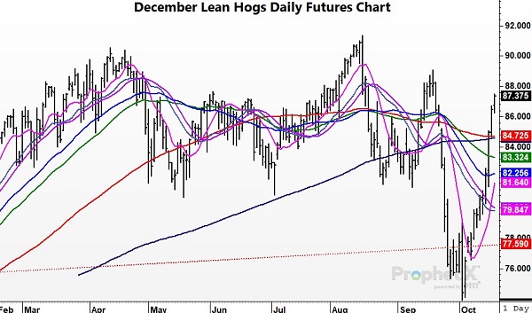 Today in Lean Hogs 10-19-2022 - Total Farm Marketing by Stewart-Peterson