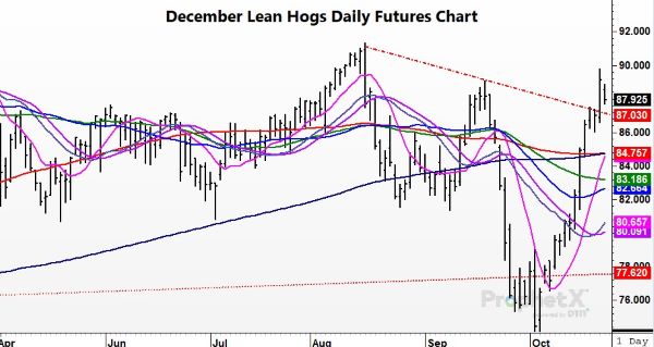 Today in Lean Hogs 10-24-2022 - Total Farm Marketing by Stewart-Peterson