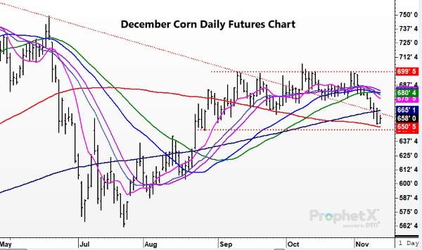 Today in Corn 11-11-2022 - Total Farm Marketing by Stewart-Peterson