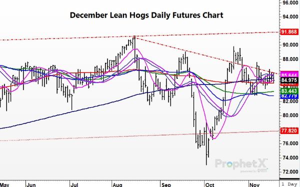 Today in Lean Hogs 11-17-2022 - Total Farm Marketing by Stewart-Peterson