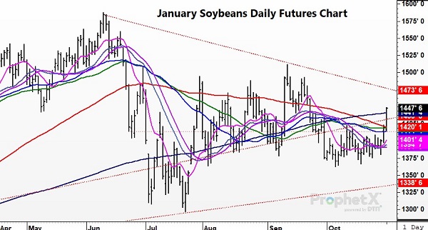 Today in Soybeans 11-01-2022 - Total Farm Marketing by Stewart-Peterson