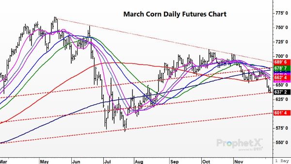 Today in Corn 12-6-2022 - Total Farm Marketing by Stewart-Peterson