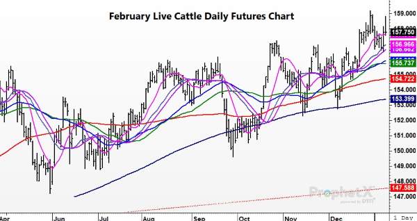Today in Cattle 01-10-2023 - Total Farm Marketing by Stewart-Peterson