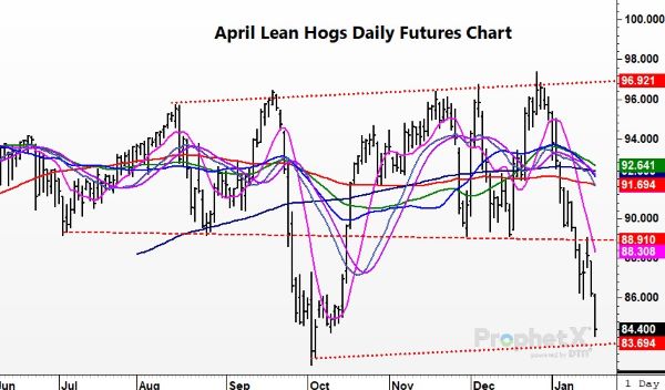 Today in Lean Hogs 1-19-2023 - Total Farm Marketing by Stewart-Peterson