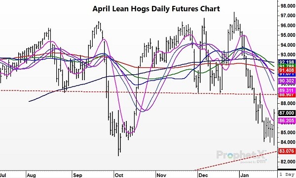 Today in Lean Hogs 01-26-2023 - Total Farm Marketing by Stewart-Peterson