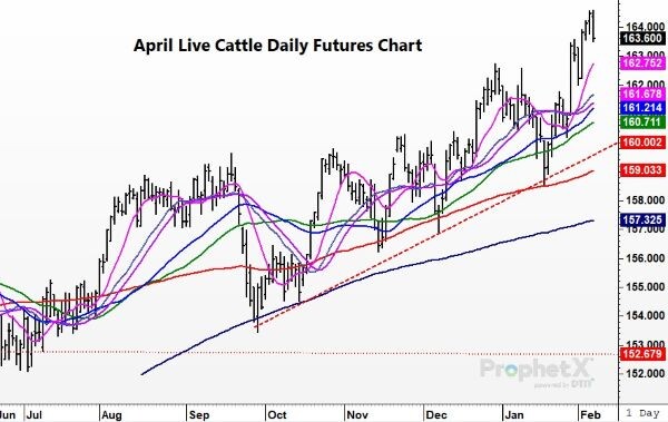 Today in Cattle 2-7-2023 - Total Farm Marketing by Stewart-Peterson