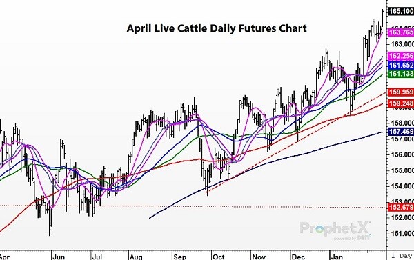 Today in Cattle 02-13-2023 - Total Farm Marketing by Stewart-Peterson